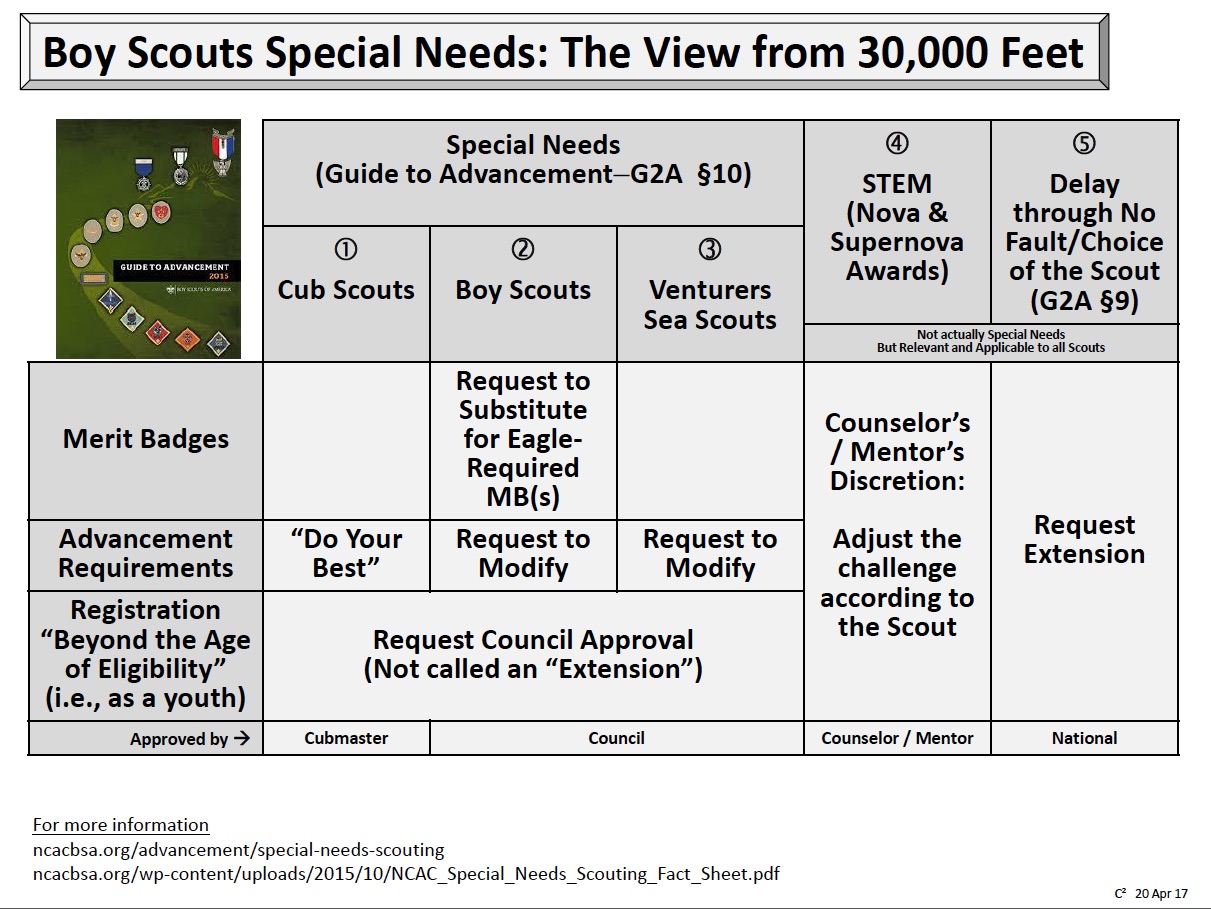 How Boys with Down Syndrome Become Eagle Scouts – Smatters
